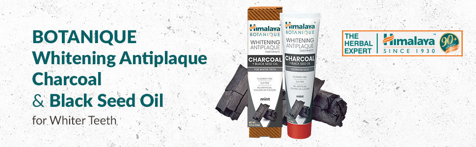 Buy Himalaya Botanique Whitening Antiplaque Toothpaste Charcoal 113g ...