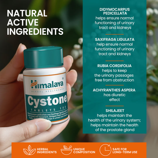 Buy Himalaya Cystone - 100 Tablets | Helps Prevents Kidney Stones ...