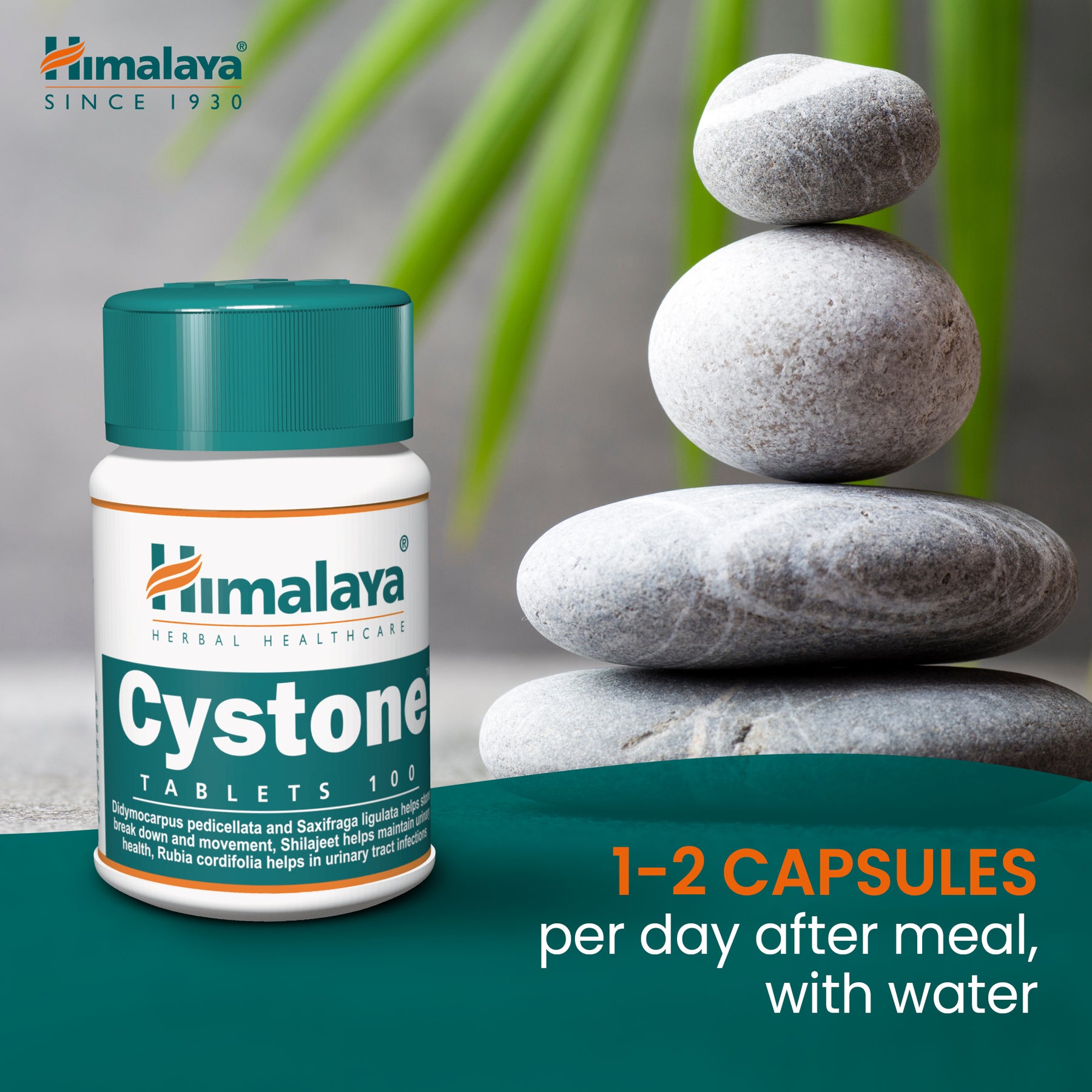 Himalaya Cystone - 100 Tablets – Himalaya Wellness (UK)