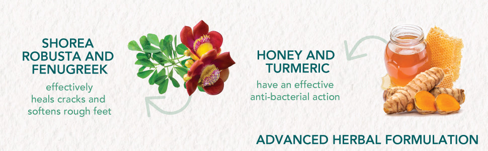 Himalaya Foot Care Cream - 75ml – Himalaya Wellness (UK)