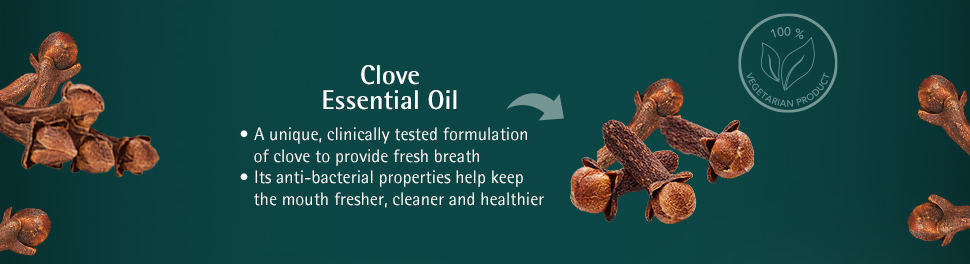 Buy Himalaya Ayurvedic Dental Cream Herbal Toothpaste (Clove) - 100g ...
